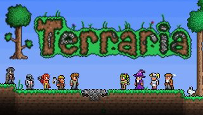 Terraria Coop Test & Review